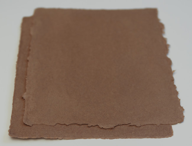 Marin Cattail « Shotwell Paper Mill