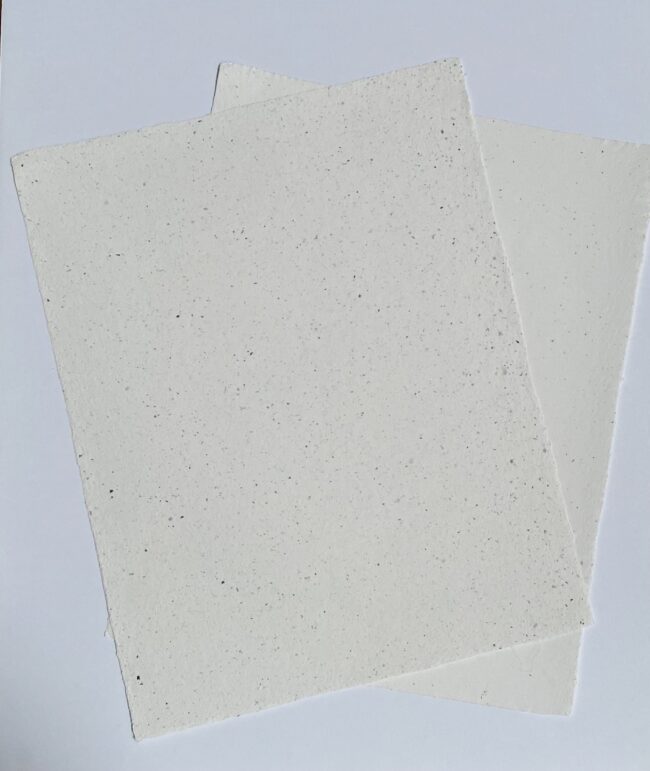 Seaweed Paper « Shotwell Paper Mill